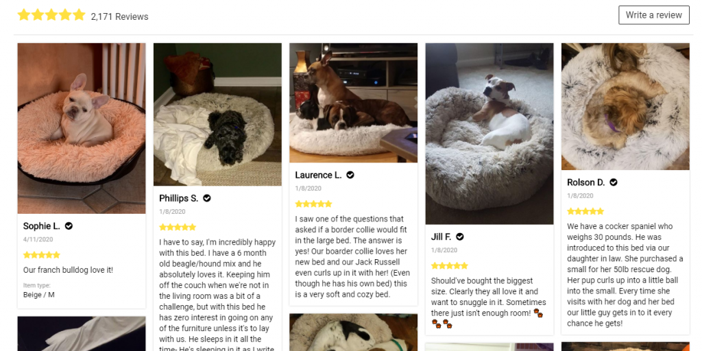 Free Store Review - Learn How To Review Your Online Store Like A Pro ...